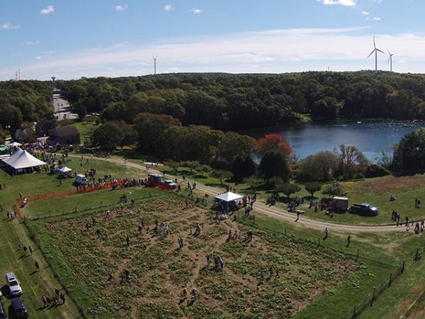 Bourne Farm – Salt Pond Bird Areas Sanctuaries